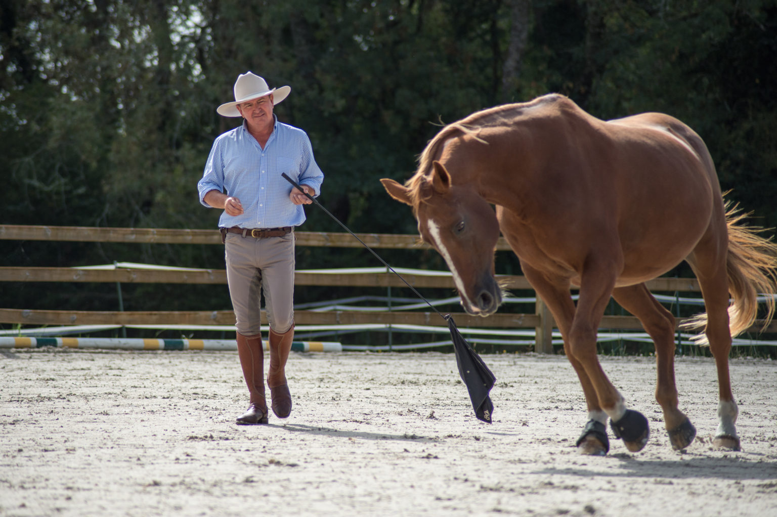 Masterclass Travail en liberté - Andy Booth